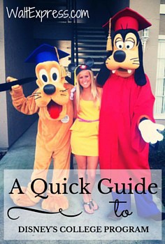 A Quick Guide to The Disney College Program