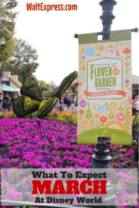 What to Expect in Disney World During the Month of March