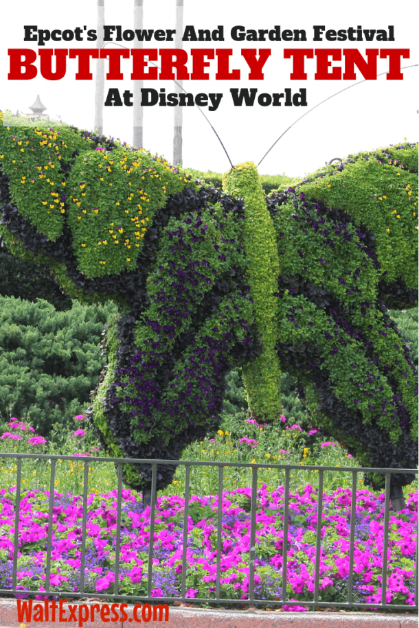 Butterfly Tent At Epcot's Flower And Garden Festival