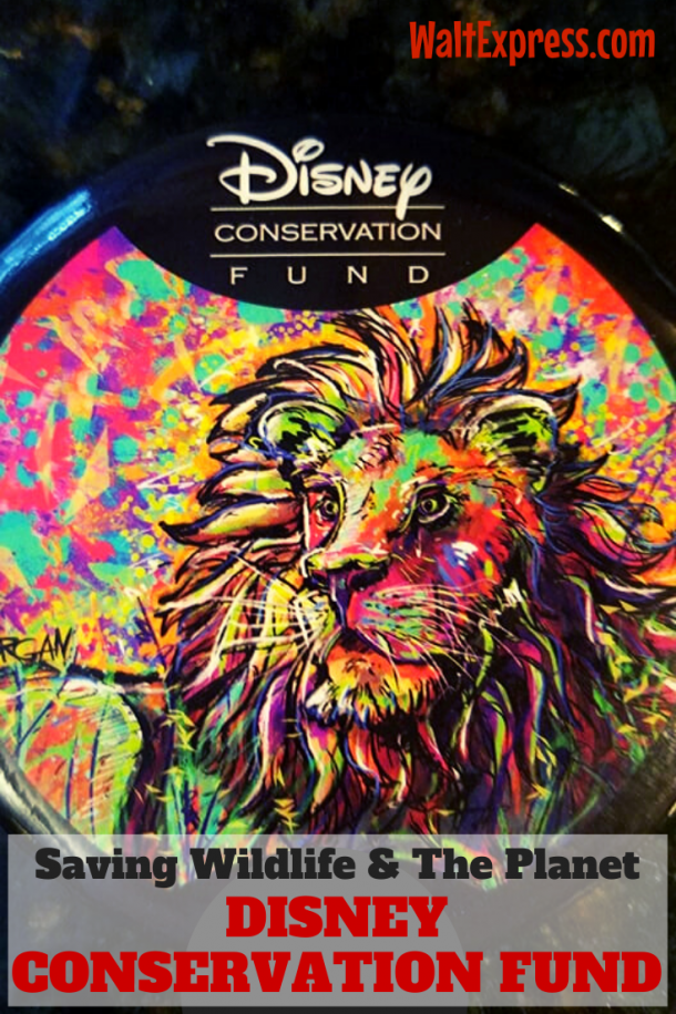 Saving Wildlife And The Planet With The Disney Conservation Fund