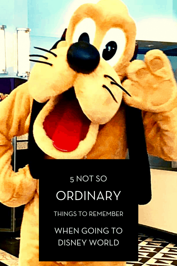 5 Not So Ordinary Things To Remember When Going To Disney World